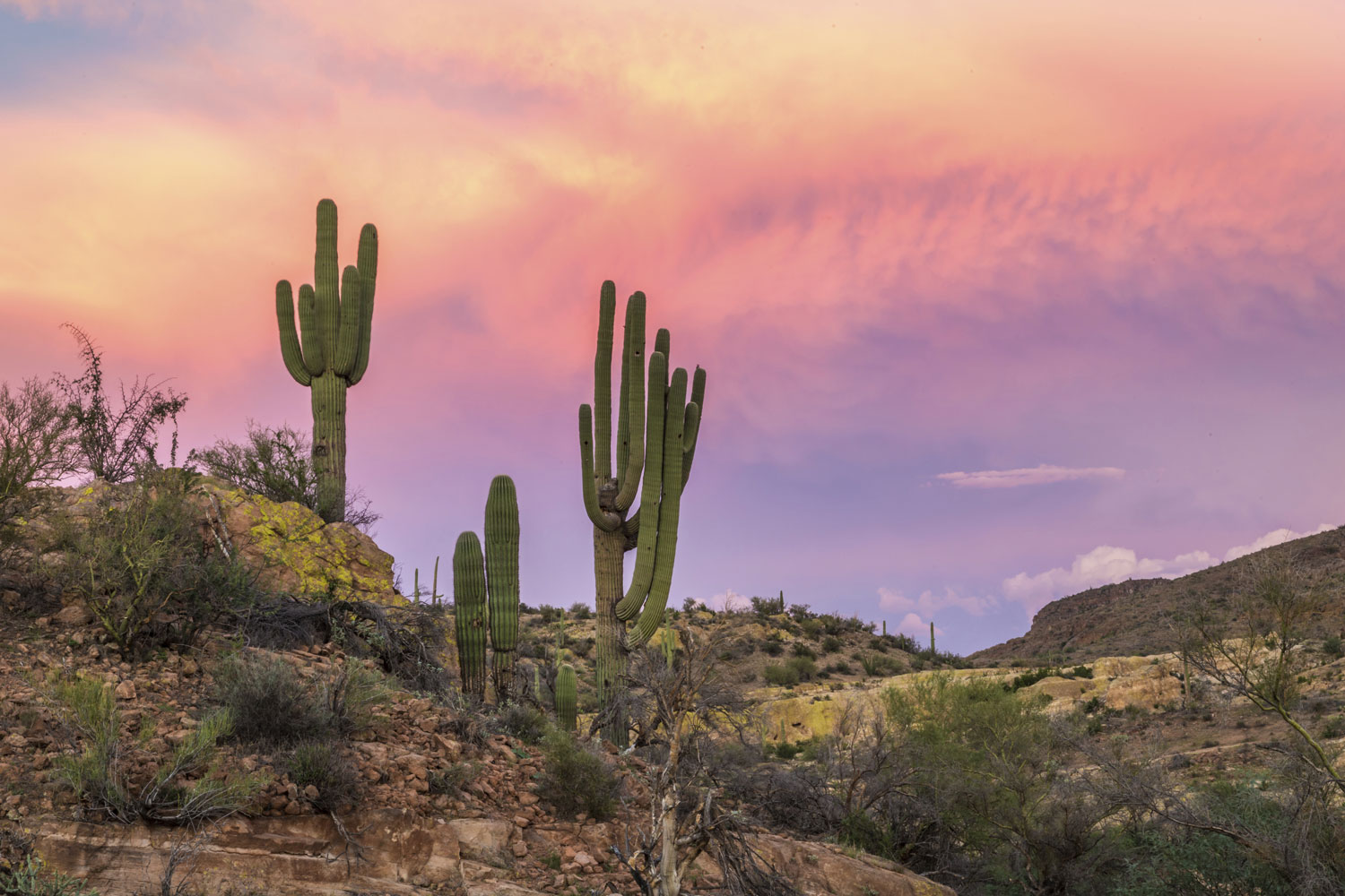 Top 5 Sunset Views in Mesa, AZ | Arizona MH Living
